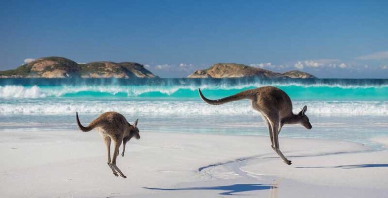 Visitar el Parque Nacional Cape le Grand